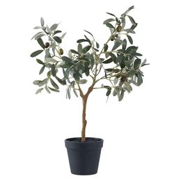 House Nordic Kunstpflanze "Olive Tree" in Gr&uuml;n - (H)61 cm - 50% | Kerzen-vasen