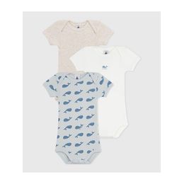 Petit Bateau 3er-Set: Bodys in Wei&szlig;/ Hellblau/ Beige - 48% | Gr&ouml;&szlig;e 68 | Baby-bodys