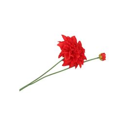 daan kromhout Kunstblume "Dahlia" in Rot/ Gr&uuml;n - (H)78 cm - 58% | Kerzen-vasen