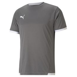 Puma Sportshirt "TeamLIGA Jersey" in Grau | Gr.: S