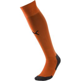 Puma Socke "Team LIGA Socks Core" in Orange | Gr.: 3