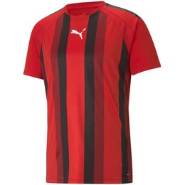 Puma Sportshirt "TeamLIGA Striped Jersey" in Rot | Gr.: XL