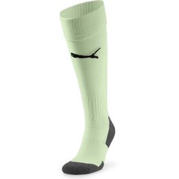Puma Socke "Team LIGA Socks Core" in Gr&uuml;n | Gr.: 4