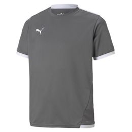 Puma Sportshirt "TeamLIGA Jersey Jr" in Grau | Gr.: 164