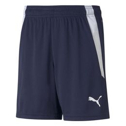 Puma Sporthose "TeamLIGA Shorts Jr" in Blau | Gr.: 140