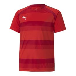 Puma Sportshirt "TeamVISION Jersey Jr" in Rot | Gr.: 176