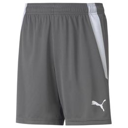 Puma Sporthose "TeamLIGA Shorts Jr" in Grau | Gr.: 116
