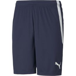 Puma Sporthose "TeamLIGA Shorts" in Blau | Gr.: XL