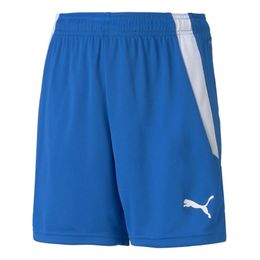 Puma Sporthose "TeamLIGA Shorts Jr" in Blau | Gr.: 152