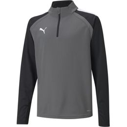 Puma Pullover "TeamLIGA 1/4 Zip Top Jr" in Grau | Gr.: 116
