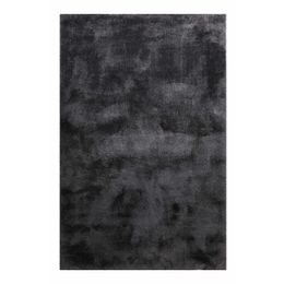 Teppich HOMIE LIVING "Pisa", grau (anthrazit), B:80cm H:25mm L:150cm, Polyester, Teppiche, Teppich, Hochflor, Microfaser, uni, weich, Shaggy, Wohnzimmer, Schlafzimmer