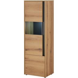 Vitrine Inosign "City/Giron, moderner Hochschrank, Glasvitrine", beige (eiche evoke), B:50cm H:155cm T:40cm, FSC-zertifizierter Holzwerkstoff, Schr&auml;nke, Vitrine, zeitlos, modern, ausreichend Stauraum, vielseitig einsetzbar