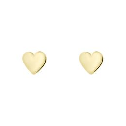 Ted Baker Earring 'Harly' Damen Gr&ouml;&szlig;e One Size gold