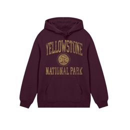 F4NT4STIC Sweatshirt 'US National Parks Yellowstone Wyoming' male Brown size XXL
