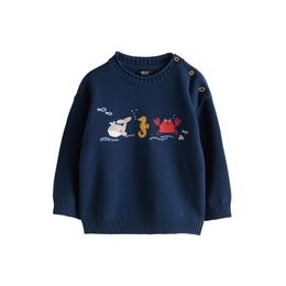 next Sweater 'Character' boy Blue size 5-6 yrs