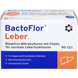 INTERCELL-Pharma GmbH Bactoflor Leber Hartkapseln 90 St