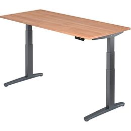 Hammerbacher VXBHM19/N/GG elektrisch h&ouml;henverstellbarer Schreibtisch 65,0 - 130,0 cm - elektrisch nussbaum / grafit