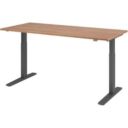 Hammerbacher VXMKA19/N/G elektrisch h&ouml;henverstellbarer Schreibtisch 70,0 - 120,0 cm - elektrisch nussbaum / grafit