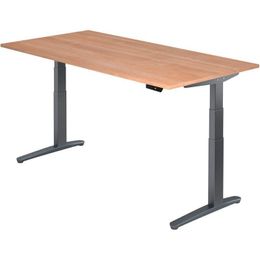 Hammerbacher VXBHM2E/N/GG h&ouml;henverstellbarer Schreibtisch 65,0 - 130,0 cm - elektrisch nussbaum / grafit