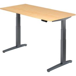 Hammerbacher VXBHM16/3/GG elektrisch h&ouml;henverstellbarer Schreibtisch 65,0 - 130,0 cm - elektrisch ahorn / grafit