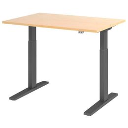 Hammerbacher VXMKA12/3/G elektrisch h&ouml;henverstellbarer Schreibtisch 70,0 - 120,0 cm - elektrisch ahorn / grafit