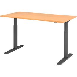 Hammerbacher VXMKA16/6/G elektrisch h&ouml;henverstellbarer Schreibtisch 70,0 - 120,0 cm - elektrisch Buche / grafit
