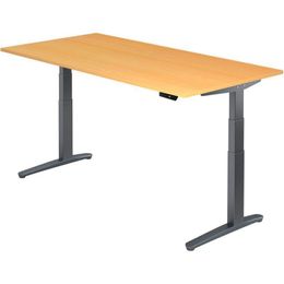 Hammerbacher VXBHM2E/6/GG h&ouml;henverstellbarer Schreibtisch 65,0 - 130,0 cm - elektrisch Buche / grafit