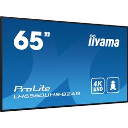 iiyama ProLite LH6560UHS-B2AG Signage Display 164 cm (64,5 Zoll)