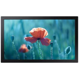 Samsung QB13R-M Smart Signage Display 33,7 cm 13,27 Zoll