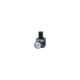 Riegler Druckregler &raquo;multifix &laquo;, inkl. Manometer, BG 1, G 1/4, 0,5 -10 bar (R 11 - 10)