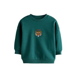 next Sweatshirt Jungen Gr&ouml;&szlig;e 68 braun / dunkelgr&uuml;n