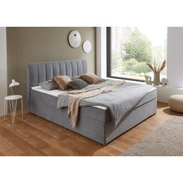 Boxbett, B:160cm L:211cm, grau, ATLANTIC HOME COLLECTION, Komplettbetten, "Alva, wahlweise mit Matratze", wahlweise mit Matratze und Topper