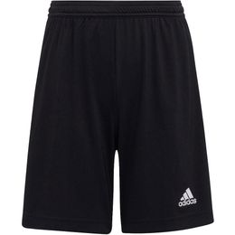 adidas Performance Workout Pants 'Entrada 22' boy Black size 128