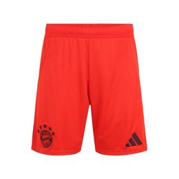 adidas Performance Workout Pants 'FC Bayern 24/25 Home' female Red size XS