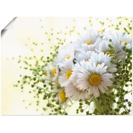 Wandbild Artland "G&auml;nsebl&uuml;mchen und Hofstaat", wei&szlig; (farbe bild(er): wei&szlig;), B:40cm H:30cm, Bilder, als Leinwandbild, Poster in verschied. Gr&ouml;&szlig;en