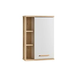 M&ouml;bel Kraft H&auml;ngeschrank beige Ma&szlig;e (cm): B: 50,5 H: 74,5 &raquo; M&ouml;bel Kraft