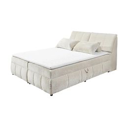M&ouml;bel Kraft Boxbett creme Ma&szlig;e (cm): B: 183 H: 105 T: 235.0 &raquo; M&ouml;bel Kraft