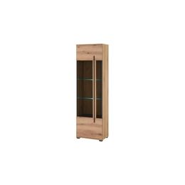 M&ouml;bel Kraft Vitrine braun Ma&szlig;e (cm): B: 60 H: 200 T: 37.0 &raquo; M&ouml;bel Kraft