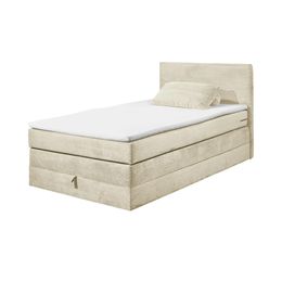 M&ouml;bel Kraft Boxspringbett creme Ma&szlig;e (cm): B: 141 H: 107 T: 209.0 &raquo; M&ouml;bel Kraft