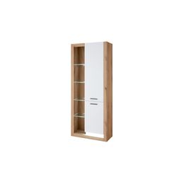 M&ouml;bel Kraft Vitrine braun Ma&szlig;e (cm): B: 80 H: 195 T: 37.0 &raquo; M&ouml;bel Kraft