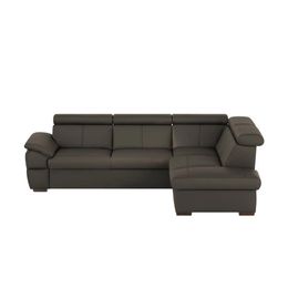 Primo Ecksofa aus Echtleder Town braun Ma&szlig;e (cm): B: 264 H: 76 T: 210.0 &raquo; M&ouml;bel Kraft