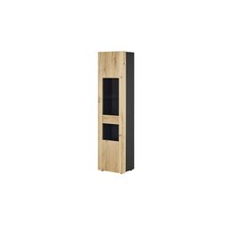 M&ouml;bel Kraft Vitrine Light Line 6 holzfarben Ma&szlig;e (cm): B: 53 H: 204 T: 40.0 &raquo; M&ouml;bel Kraft