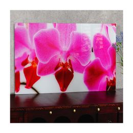 MCW Glasbild T117, Wandbild Poster Motiv, 40x60cm ~ Orchidee