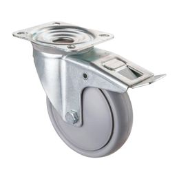 BS Rollen Transportrolle (L420.B39.160))