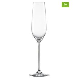 Schott Zwiesel 4er-Set: Sektgl&auml;ser "Fortissimo" - 240 ml - 28% | Gedeckter-tisch