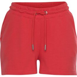 H.I.S. Damen Sweatshorts rot Gr&ouml;&szlig;e 32/34