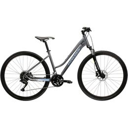 Crossrad &raquo;Crossrad Evado 5.0 grau 18 G&auml;nge&laquo; 18 Gang Shimano CUES U3020 Schaltwerk Kettenschaltung Crossrad
