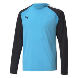 Puma Sportshirt "TeamPACER GK Longsleeve Jersey Jr" in Blau | Gr.: 164