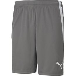 Puma Sporthose "TeamLIGA Shorts" in Grau | Gr.: XL