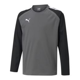 Puma Pullover "TeamLIGA Training Sweat Jr" in Grau | Gr.: 164